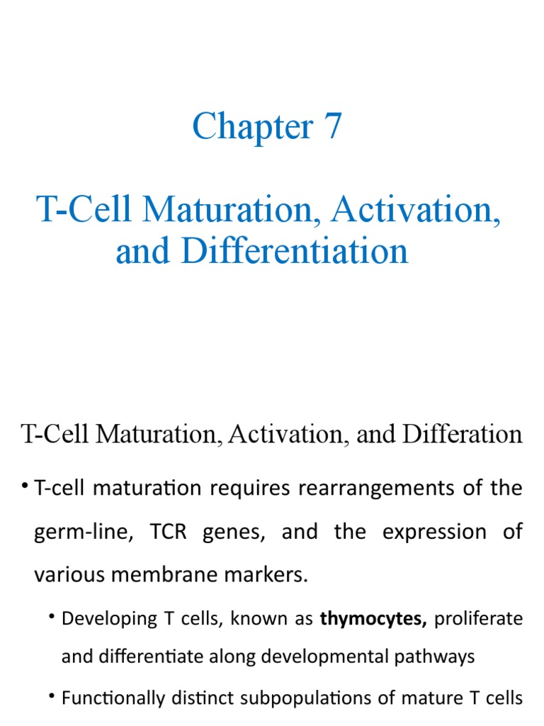 7 Chapter 7 T-Cell Maturation, Activation, and Differentiation | PDF ...