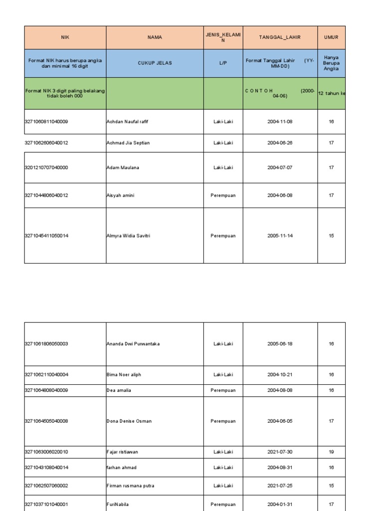 Format Smart Checking Data Sasaran Vaksinasi SMKNWM | PDF