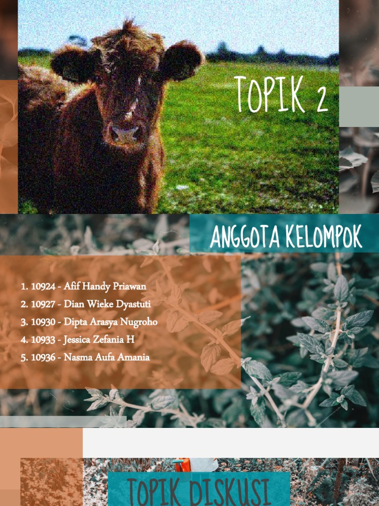 SGD 1 Kelompok 2 | PDF