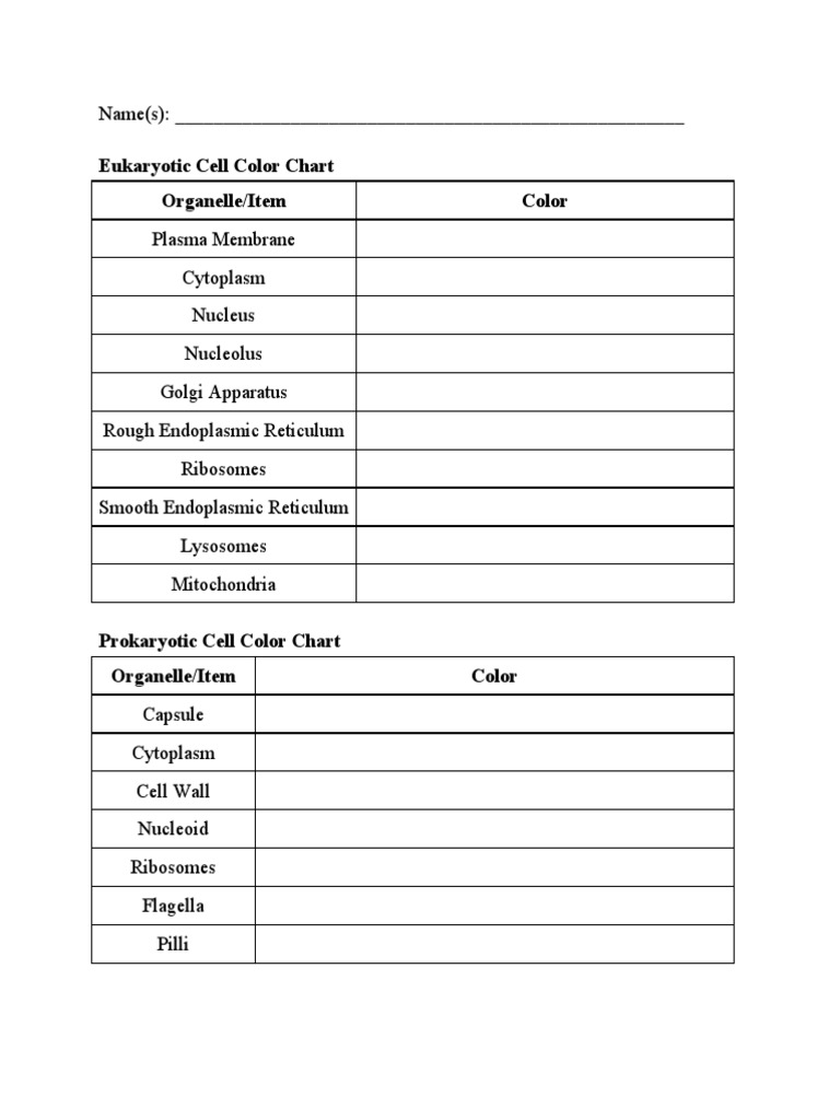 Color Coding Worksheet | PDF