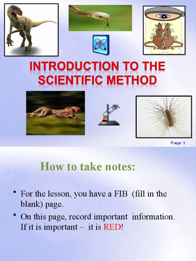 Scientific Method PPT | PDF | Scientific Method | Experiment