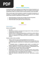 11 Tipos de Incisiones para Una Cesarea | PDF | Parto | El embarazo