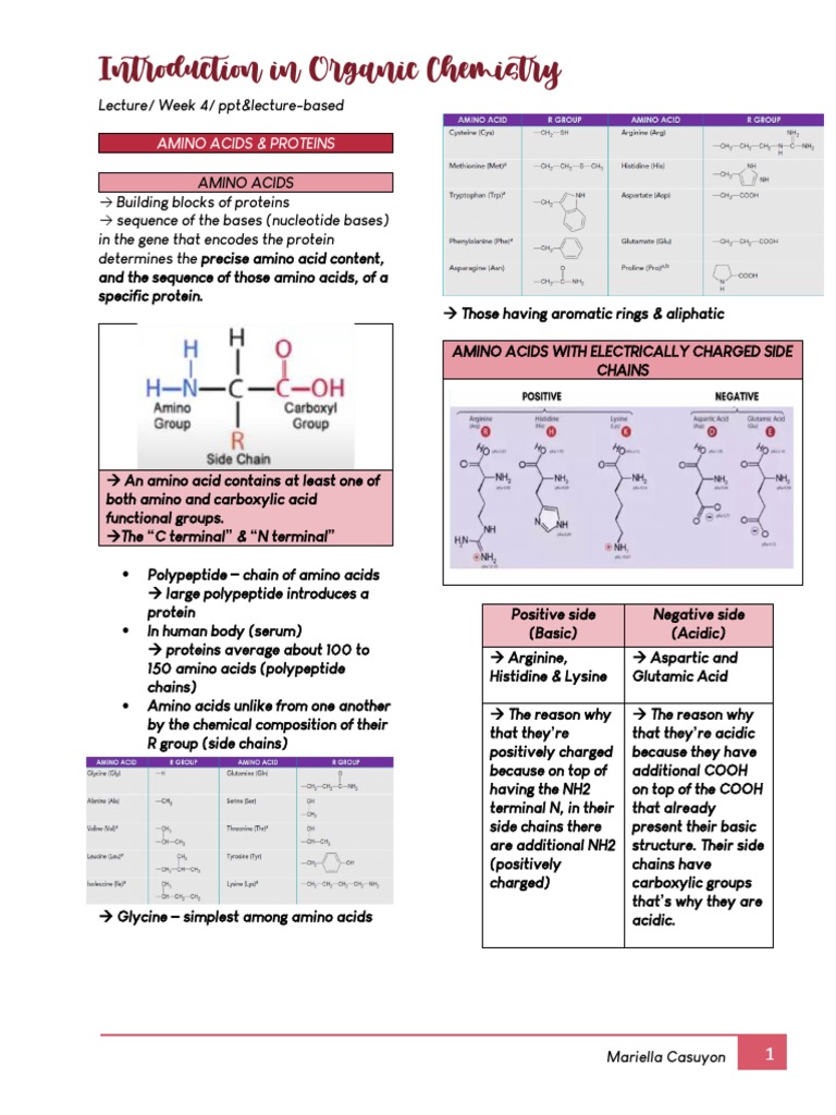 Amino Acids and Proteins Overview | PDF | Amino Acid | Proteins