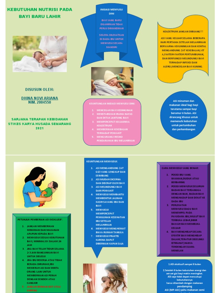 Leaflet-Kebutuhan Nutrisi BBL | PDF