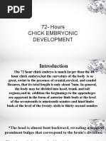48 96 Hour Chick Embryo Wholoe Mount and Serial Sections Embryology ...