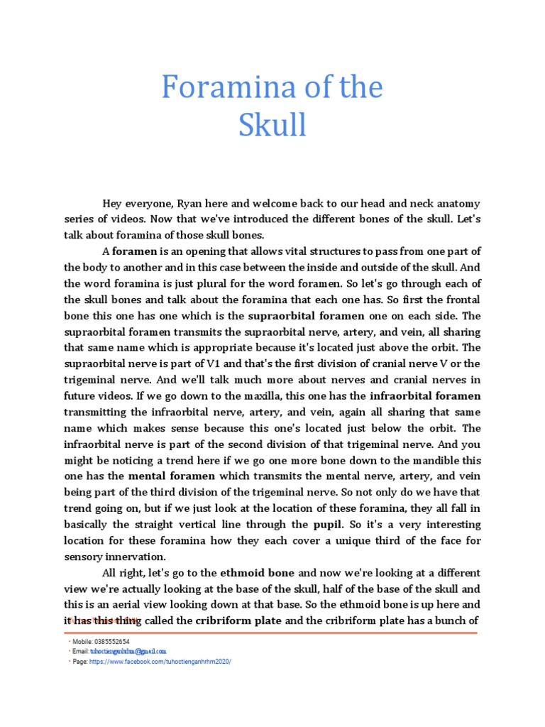 Head Neck Anatomy Foramina of The Skull INBDE | PDF | Skull | Skeletal ...