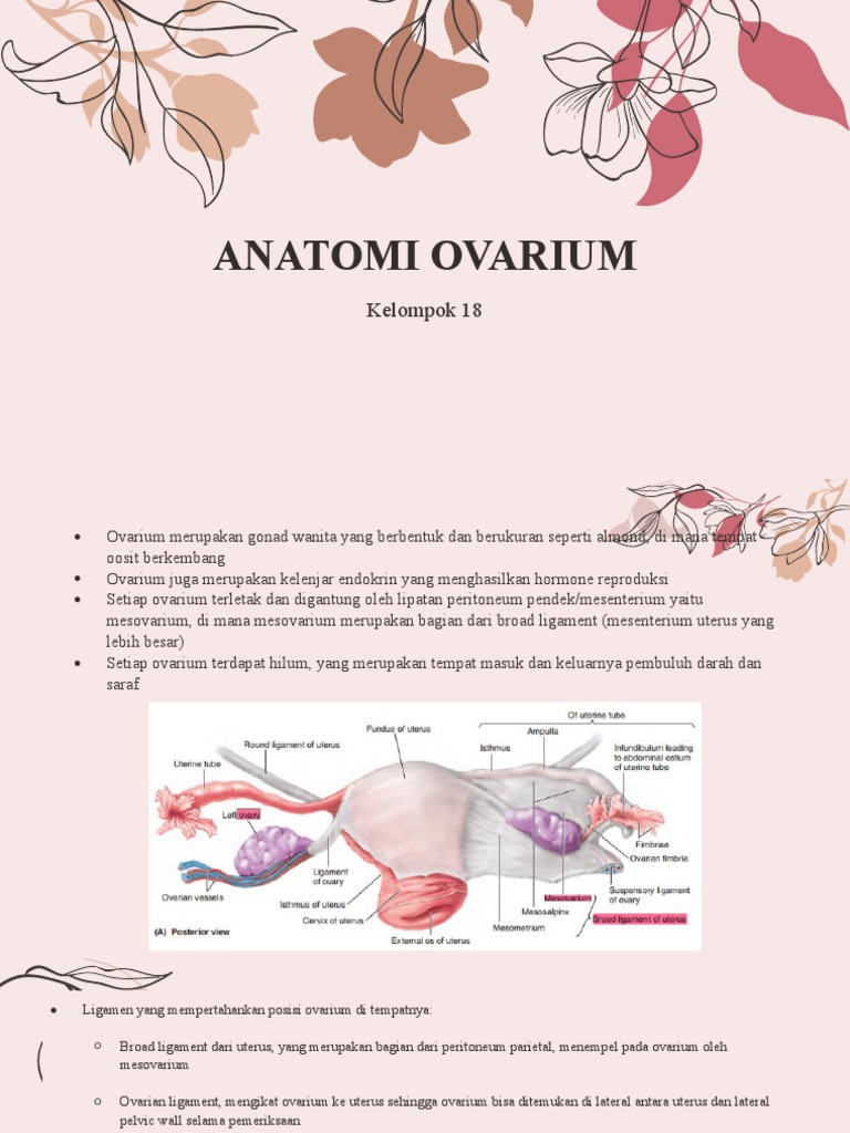 Struktur dan Fungsi Ovarium Wanita | PDF