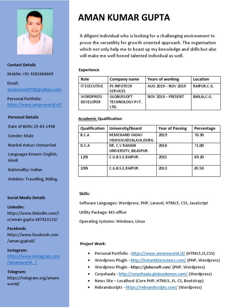 Aman Kumar Gupta | Download Free PDF | Word Press | Internet