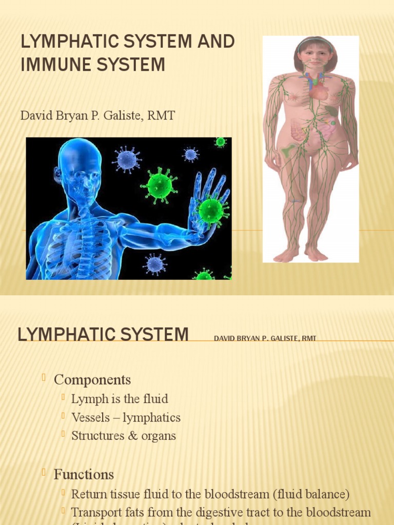 Lymphatic and Immune System | PDF | Lymphatic System | Immune System