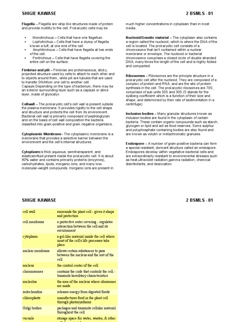 Cell Terms | PDF | Cell (Biology) | Bacteria