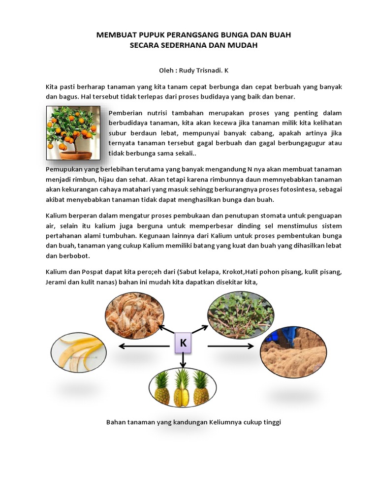 Web Pupuk Buah | PDF