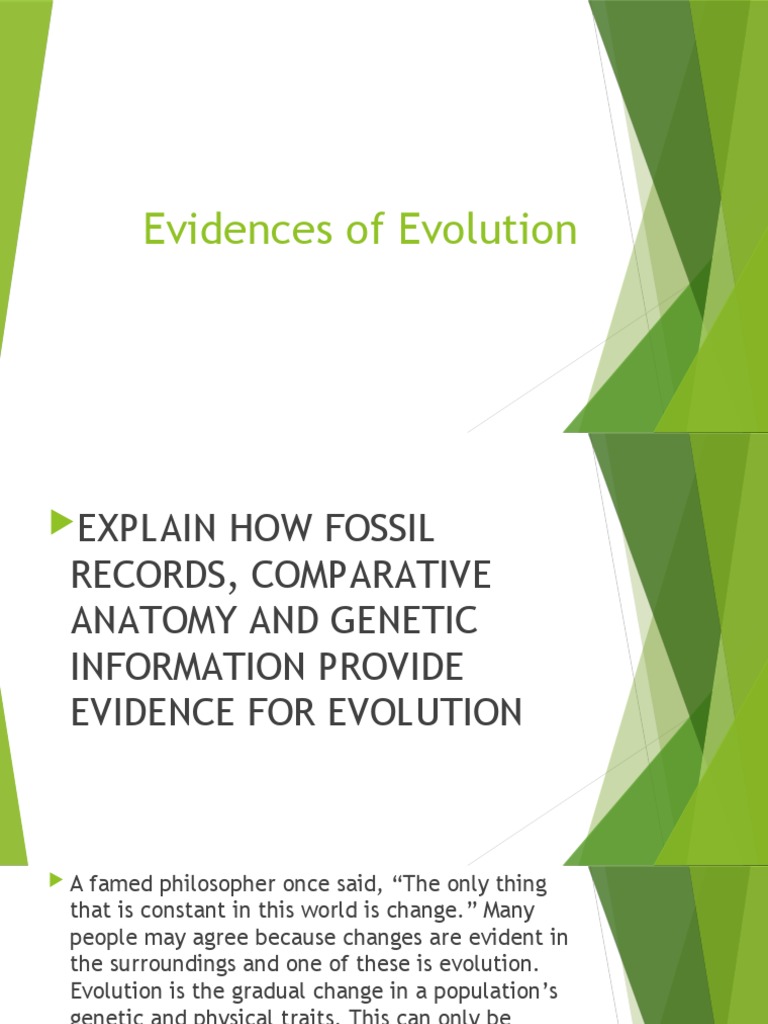 Evolution Evidence: Fossils & DNA | PDF | Geologic Time Scale | Genetics