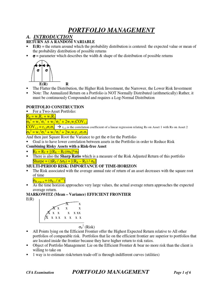 Portfolio Management | PDF