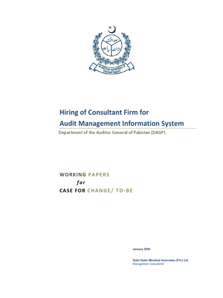 Amis - Working Papers 1 Jan 09 | PDF | Audit | Computing