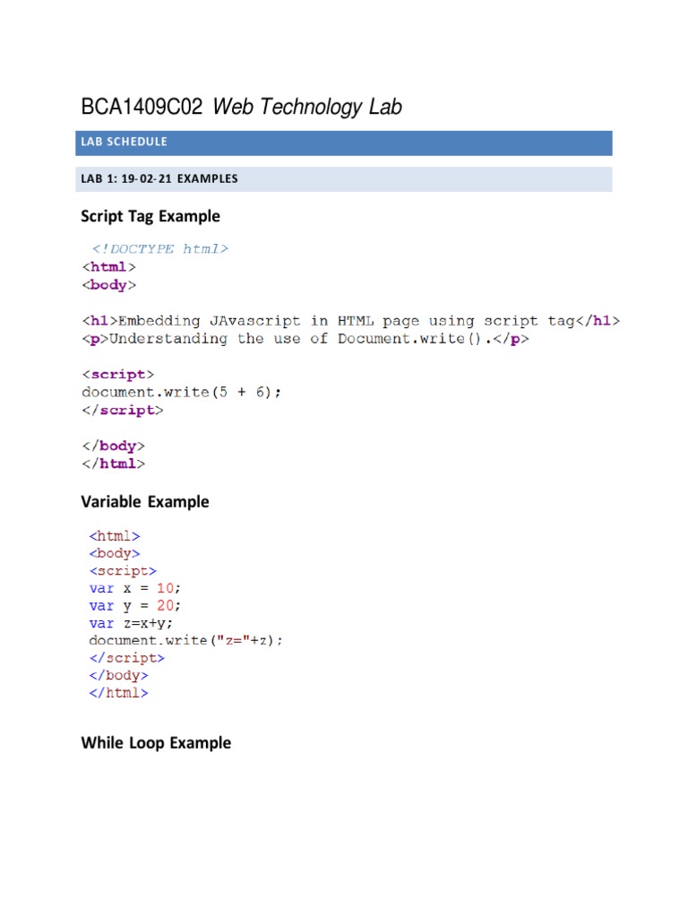 JavaScript Lab Exercises and Examples | PDF | Teaching Methods & Materials | Technology ...