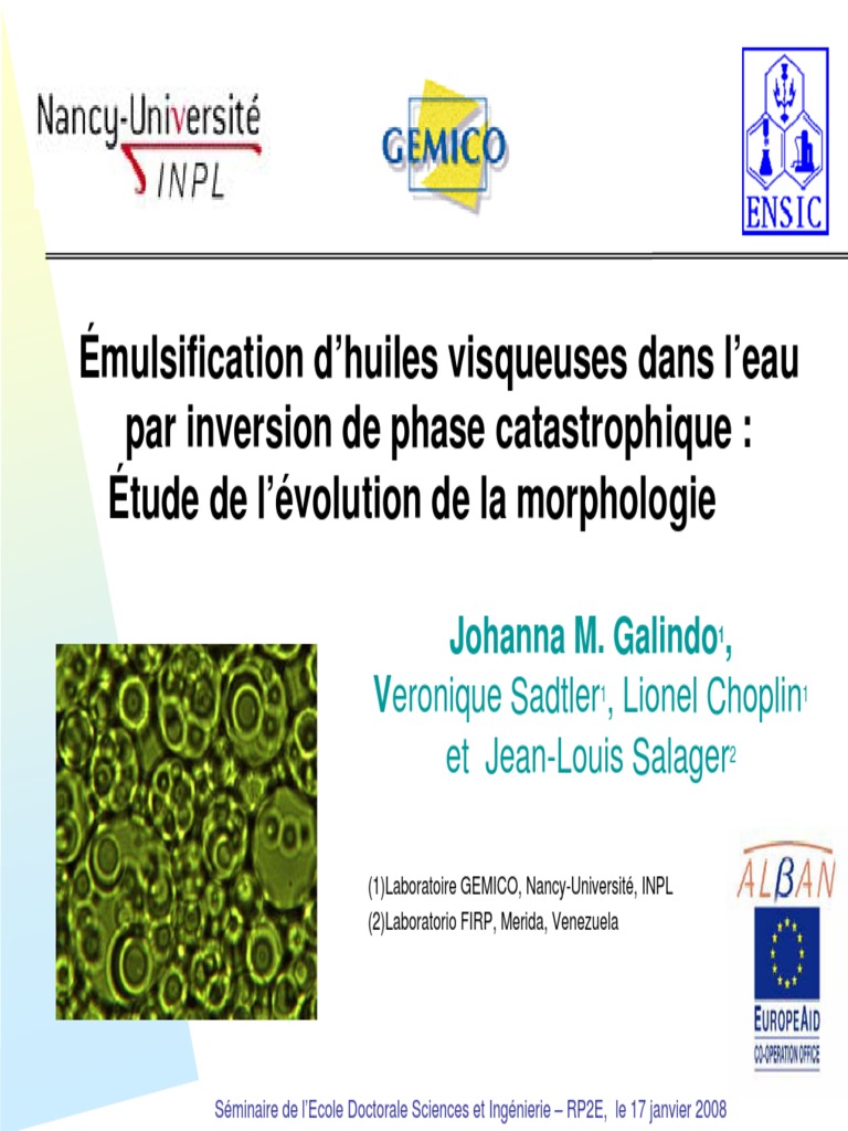 Émulsification par inversion de phase | PDF | Émulsion | Science des ...