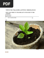 Bird Butterfly Garden Plan | PDF | Mulch | Trees