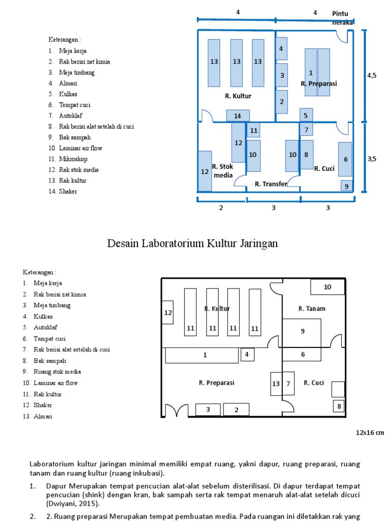 Desain Laboratorium Kultur Jaringan | PDF