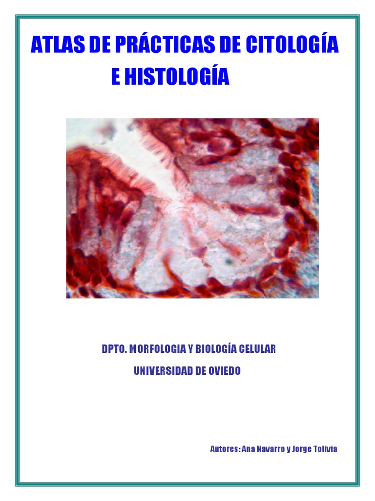 Atlas Practicas de Bio Cel:Histo | PDF | Epitelio | Tejido conectivo