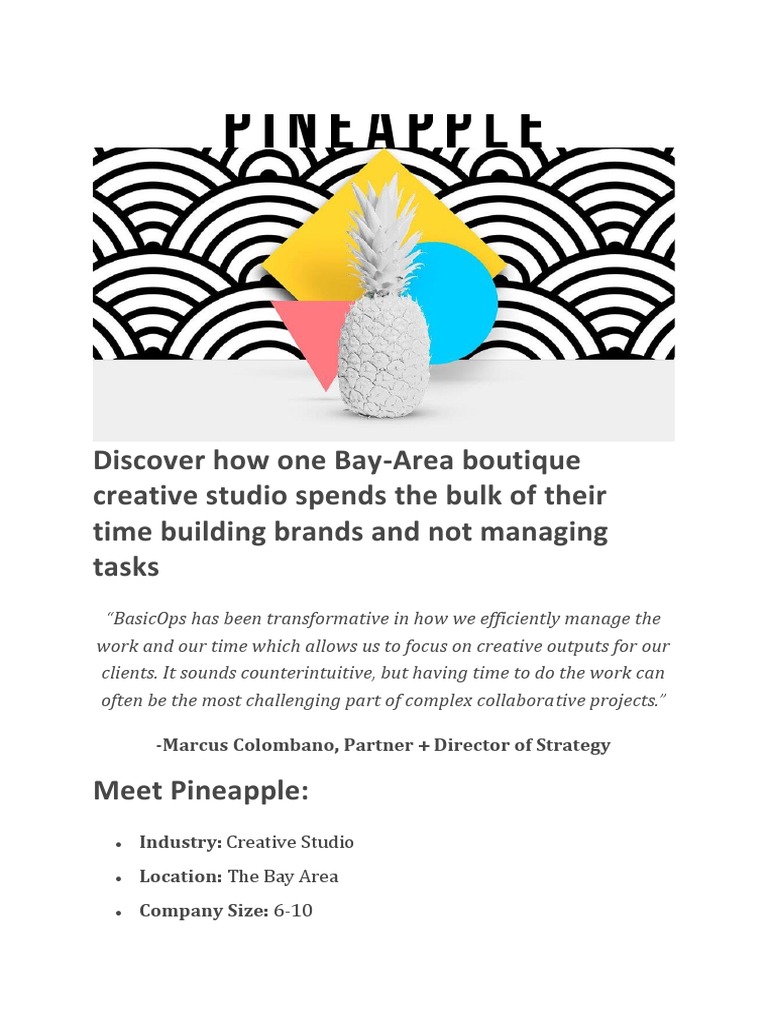 Pineapple - Case Study BasicOps | PDF | Computing