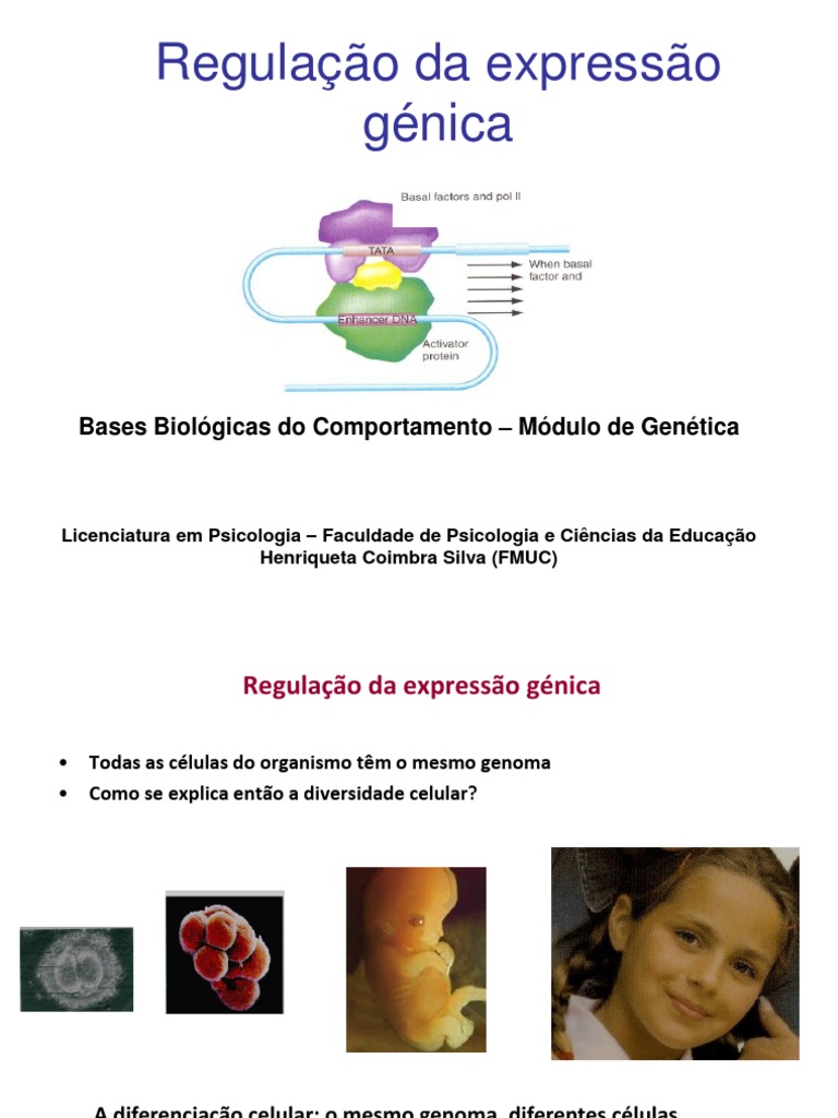 Regulação Da Expressão Génica A2 | PDF | Gene | Expressão genética