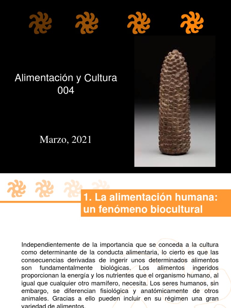 Alimentación y Cultura 4 | PDF | Alimentos | Artes culinarias