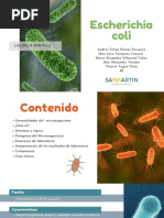 El Tratamiento Farmacológico para Escherichia Coli | PDF