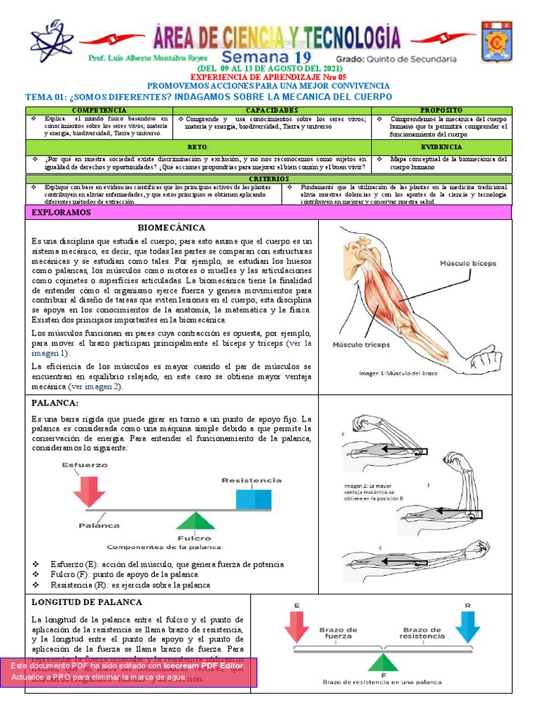 La biomecánica del cuerpo humano: principios de funcionamiento muscular ...