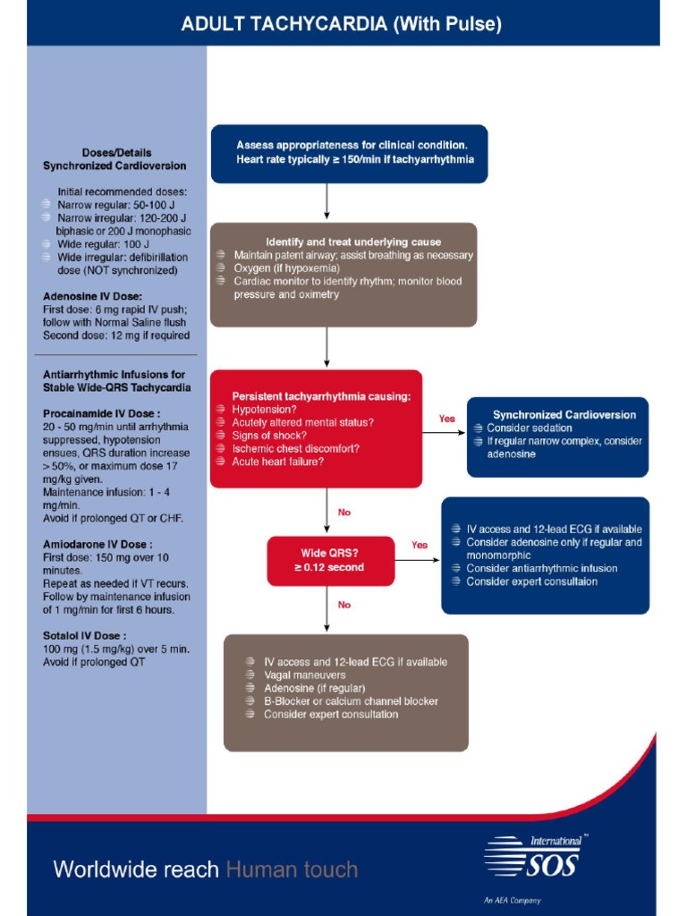Algoritma 4 ADULT TACHYCARDIA (With Pulse) - Final 5-9-11 | PDF