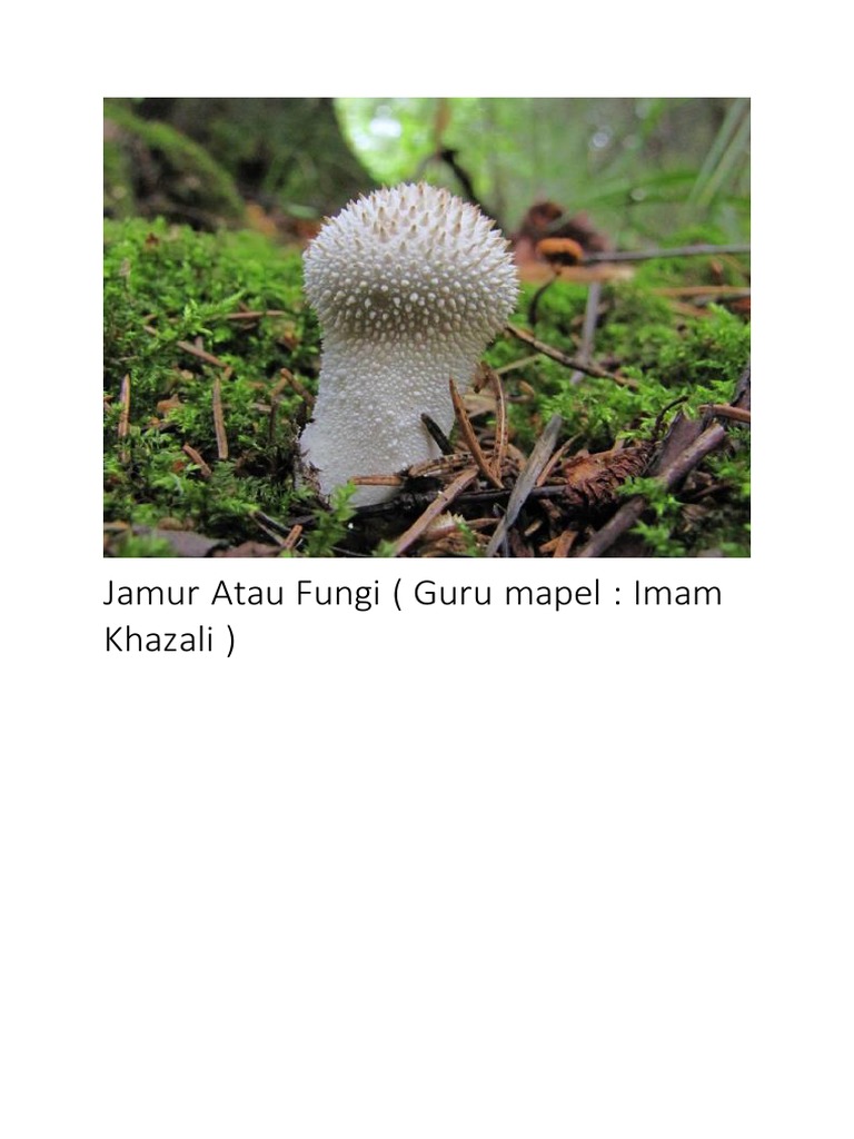 Jamur Atau Fungi Pdf