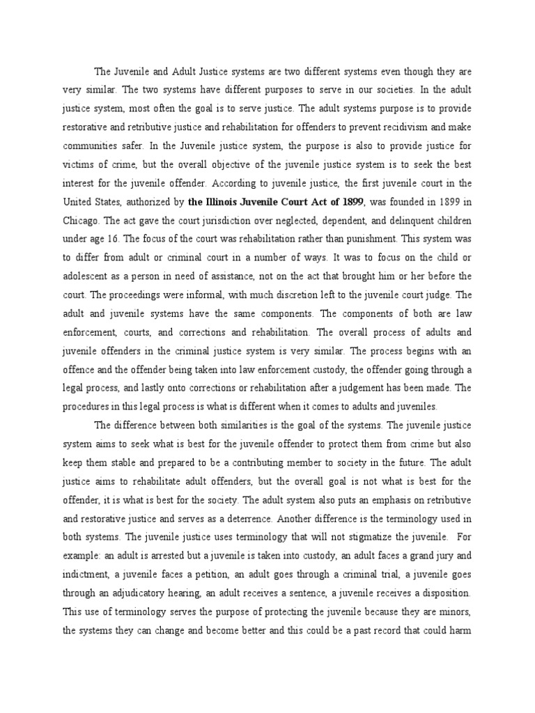 Juvenile vs Adult Justice Systems Explained | PDF | Juvenile Court ...