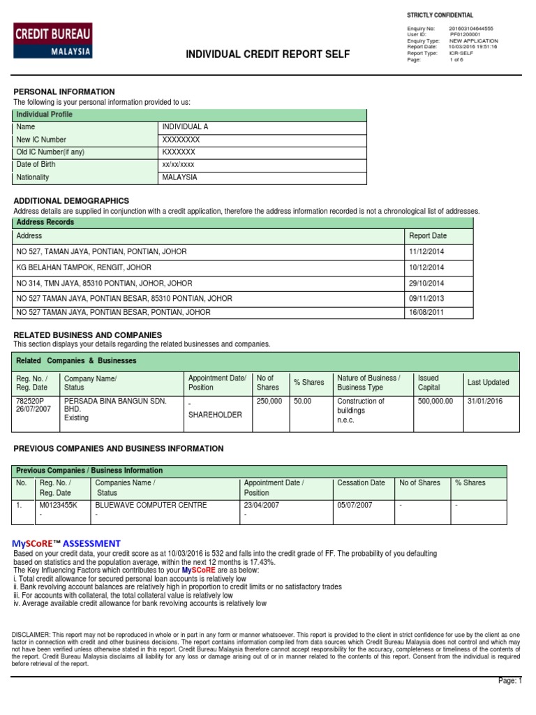 CBM Individual Credit Report (Sample) | PDF | Finance & Money ...