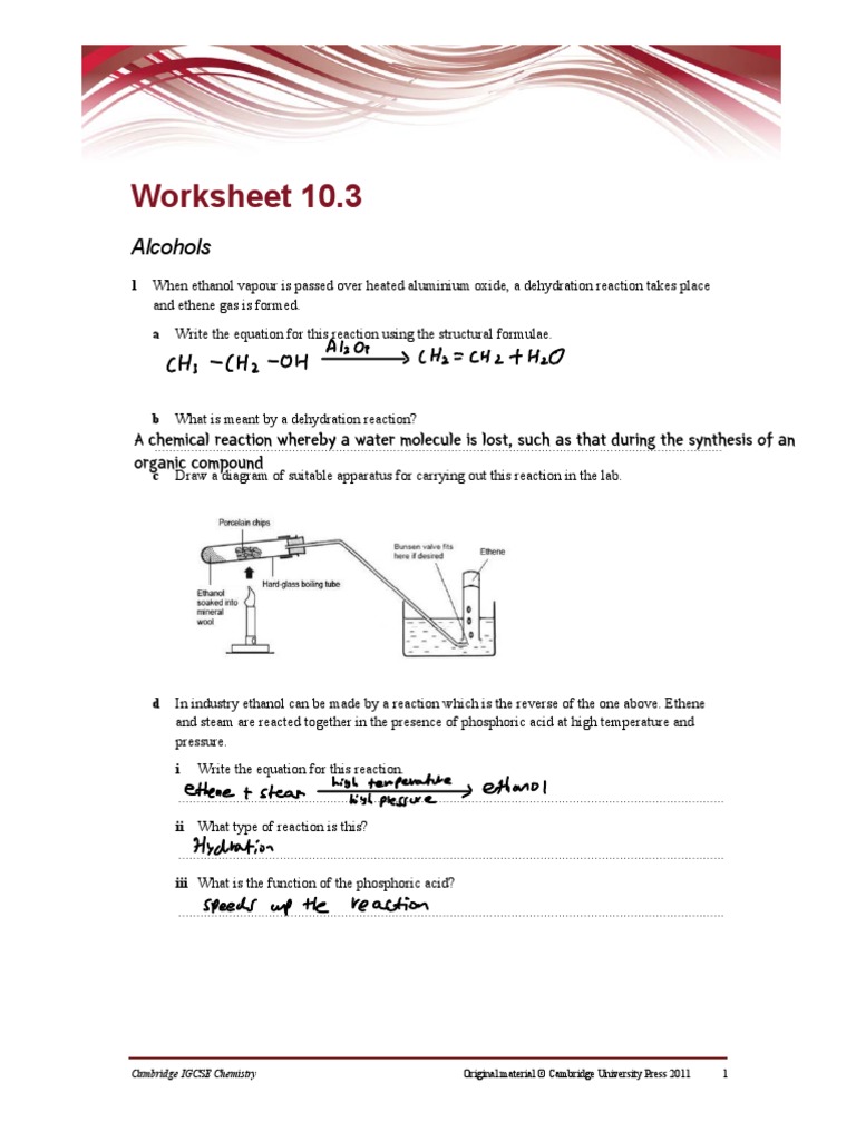 Worksheet 10.3: Alcohols | PDF | Chemical Reactions | Ethanol