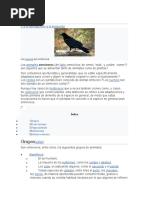 Omnívoros | PDF | Herbívoro | Alimentos