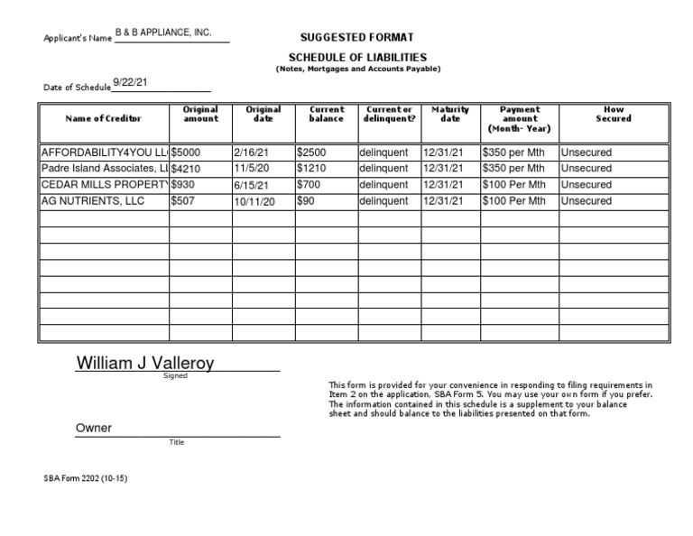 SBA Schedule of Liabilities Template | PDF | Finance & Money Management ...