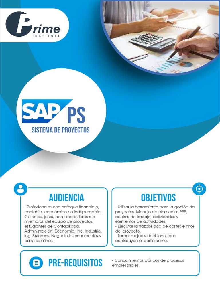 Sap PS Sistema de Proyectos | PDF | Presupuesto | Contabilidad