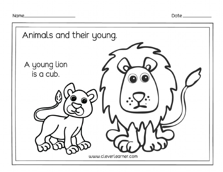 Animals and Their Young Preschool Activity Worksheets 16 | PDF