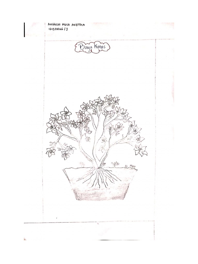 Stek Dan Morfologi Bunga Kertas | PDF