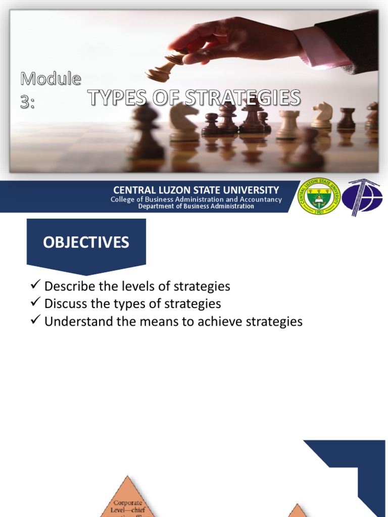 Types of Business Strategies Explained | PDF | Microeconomics | Economies