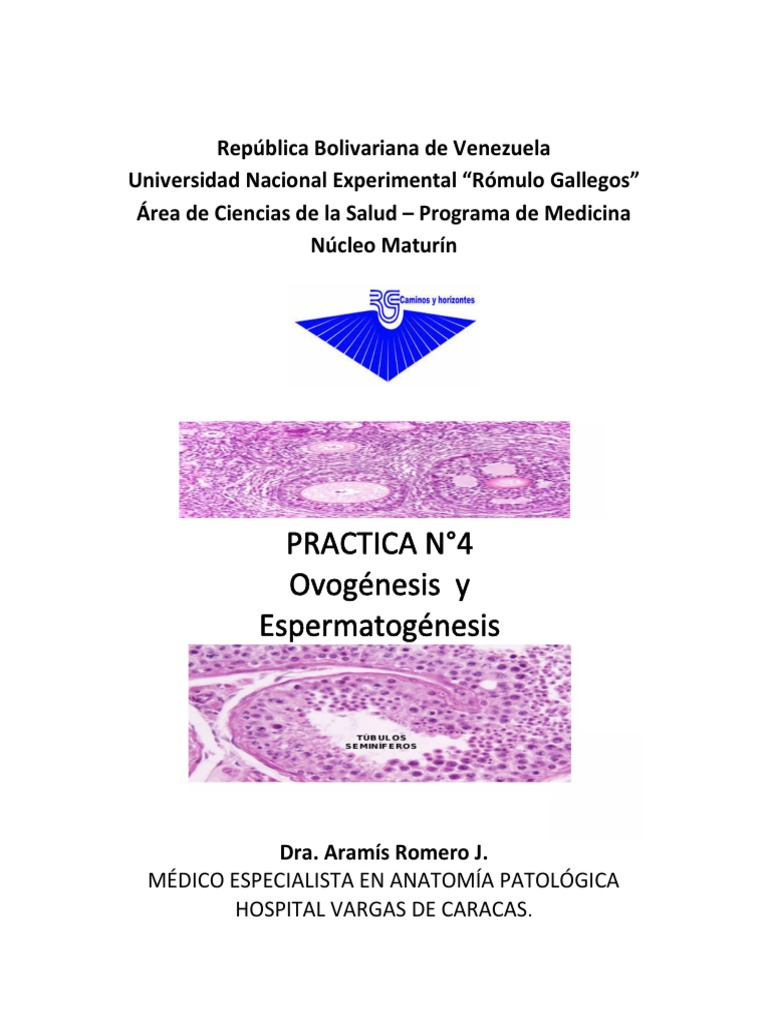 Practica 4. Ovogenesis y Espermatogenesis | PDF | Ovario | Anatomia animal