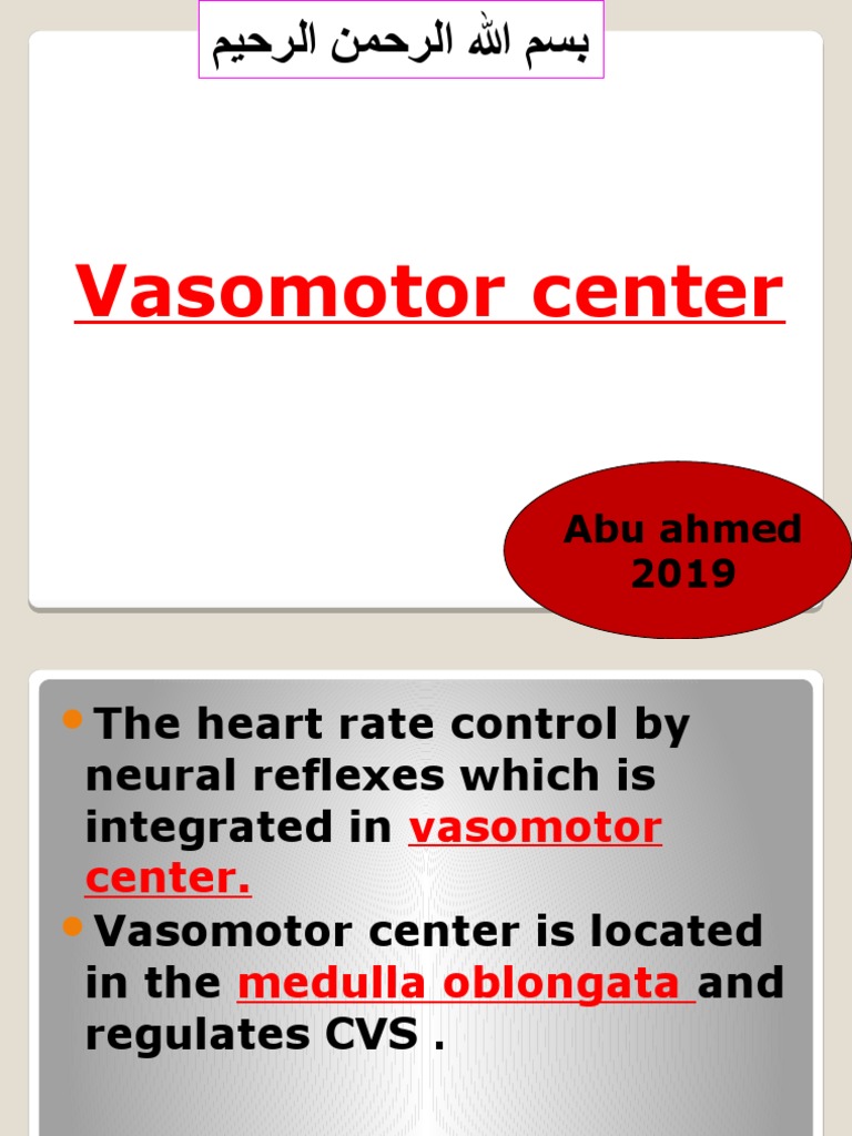 Regulation of Cardiovascular Function by the Vasomotor Center | PDF ...