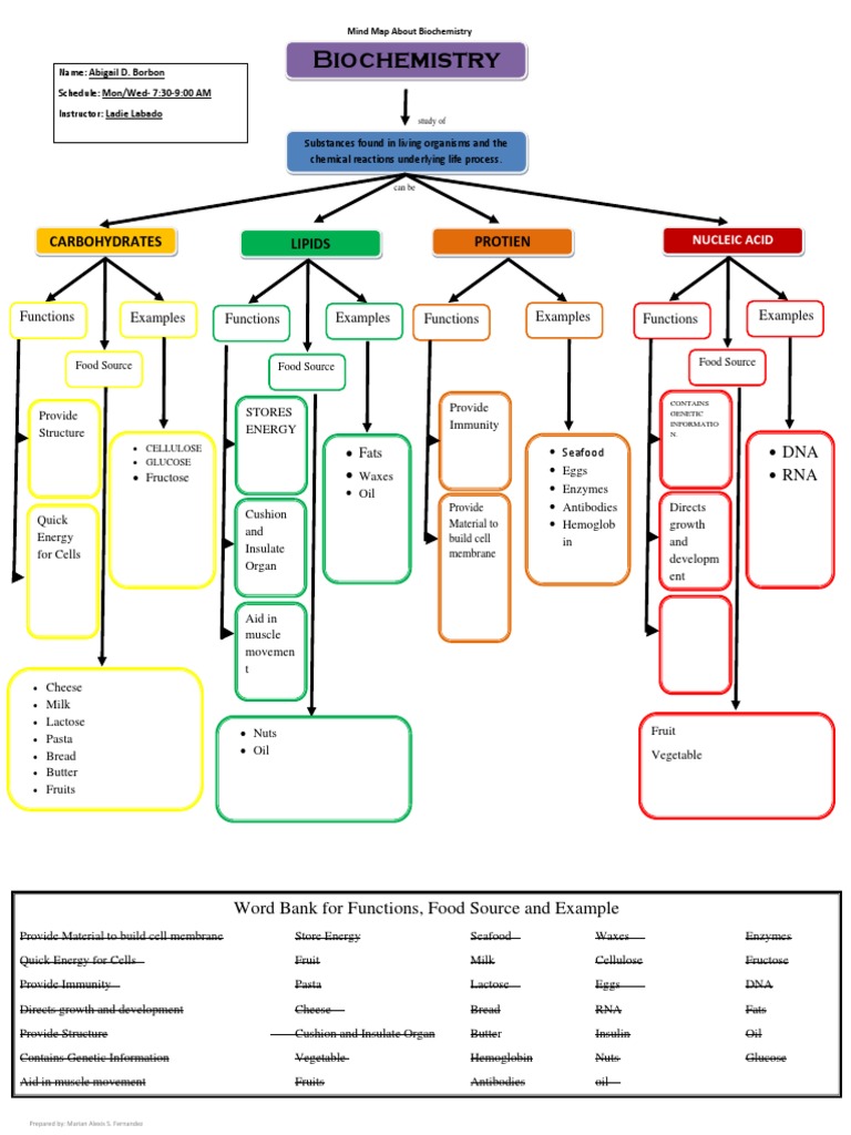Activity 1Concept-map-about-Biochemistry - Borbon | PDF | Biochemistry ...