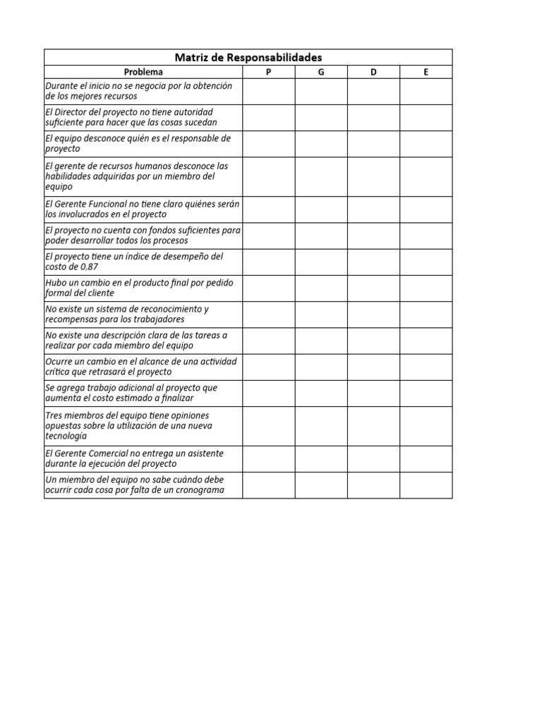 Matriz de Responsabilidades | PDF