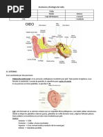 Anatomia de La Audicion | PDF | Hueso | Membrana mucosa