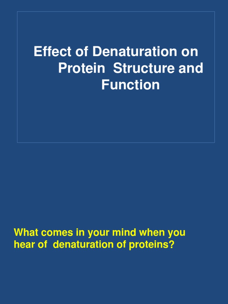 Denaturation of Proteins | PDF | Denaturation (Biochemistry) | Proteins