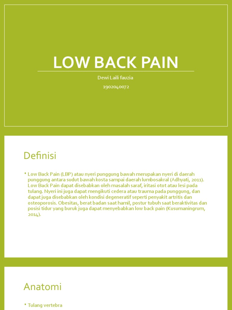 Low Back Pain | PDF
