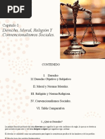Coercibilidad e Incoercibilidad | PDF | Justicia | Crimen y violencia