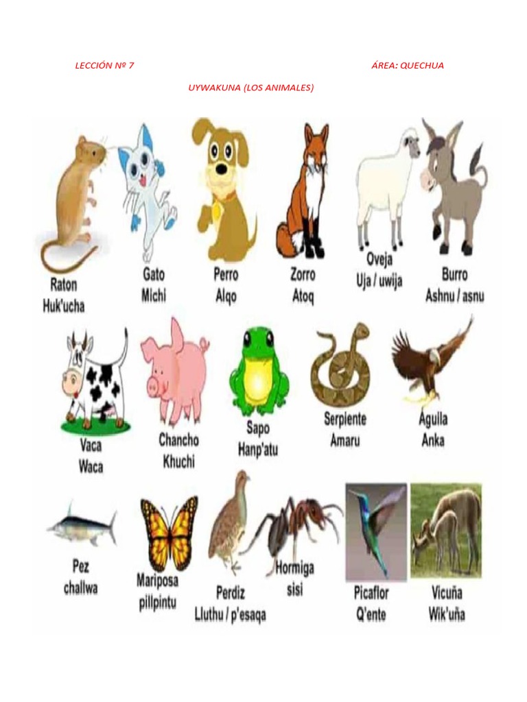 Lección #7 - Quechua - Uywakuna (Los Animales) | PDF