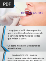 Tabla de Medidas para Dientes Permanentes | PDF | Anatomia dental | Diente