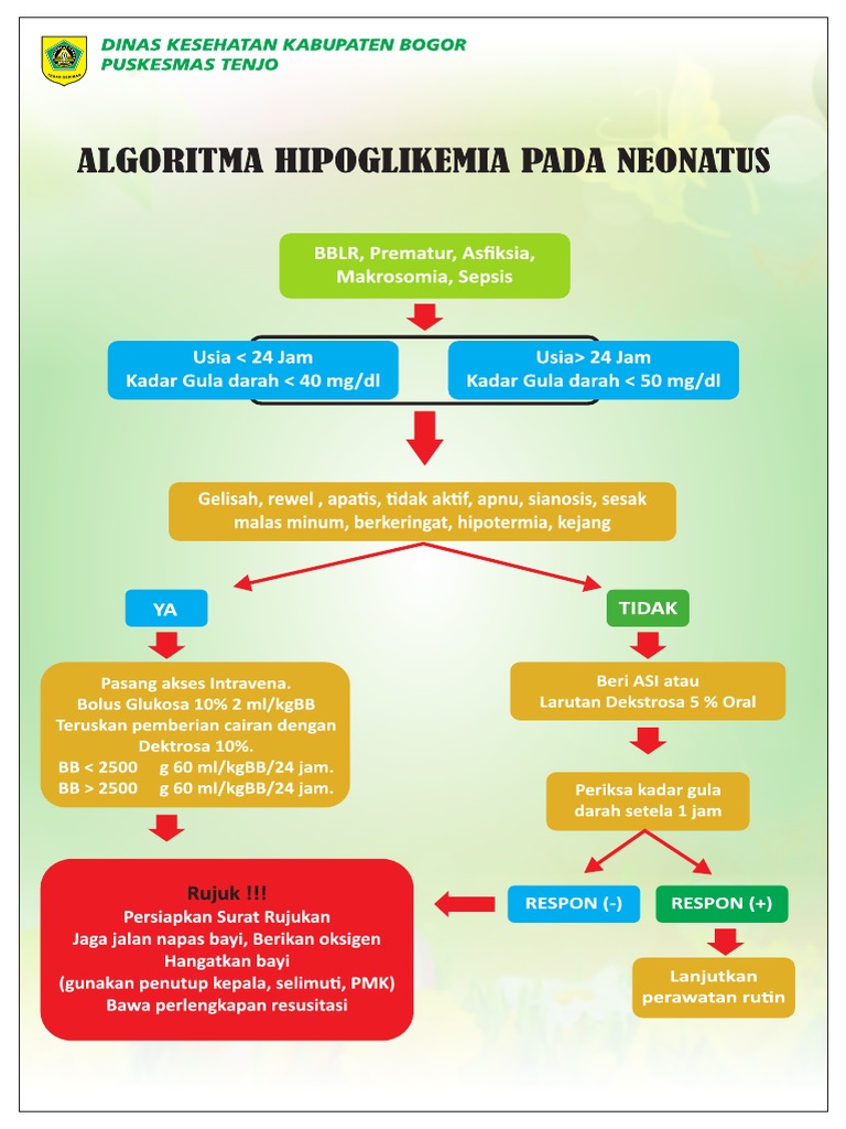 Poster Algoritma Hipoglikemi Puskesmas Tenjo 1 Lembar | PDF
